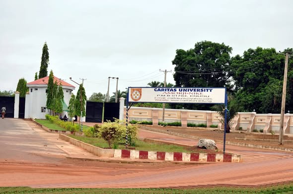History of Caritas University Enugu: What You Should Know - ProCerts AI